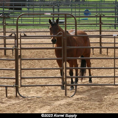 Priefert 12' Utility "walk thru" Panel